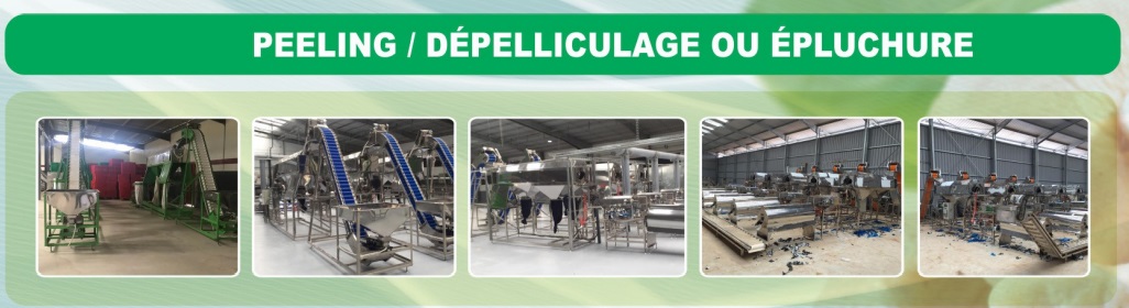 Automatic cashew processing plant 30 TPD, high automatic, big input ...