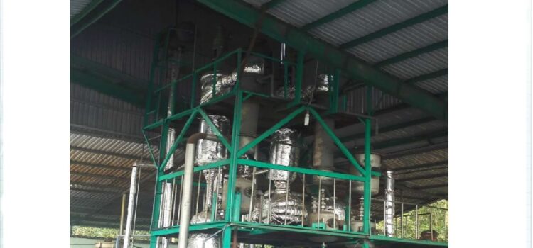 Turkey projects cashew processing plant - Cashew machine, cashew ...