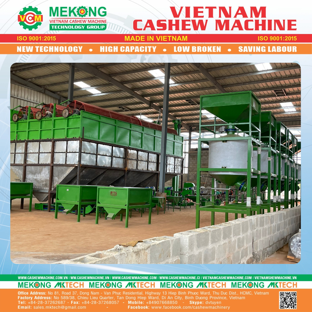 Automatic Cashew Nut Steam Cooker for High Capacity