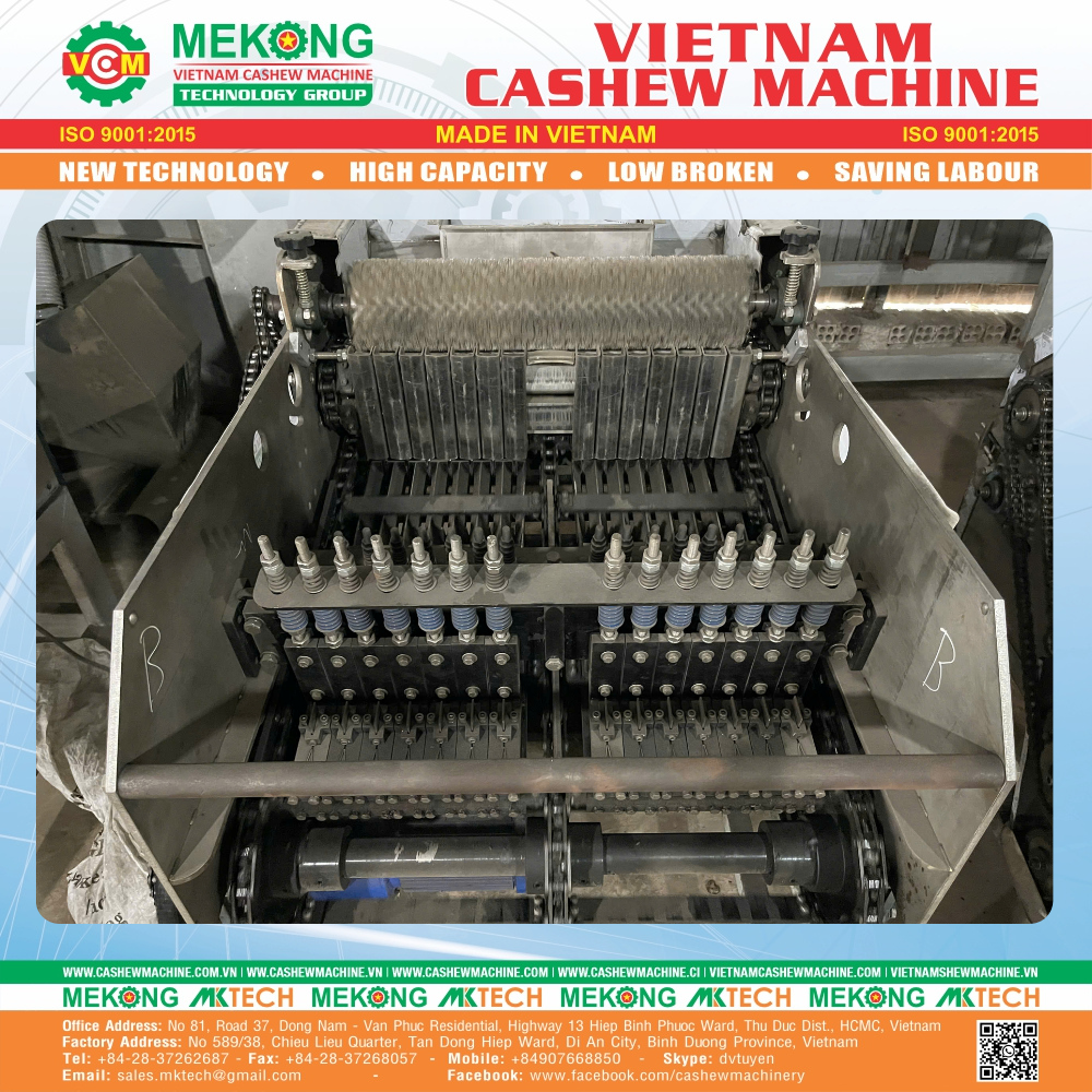 Automatic Horizontal Cashew Shelling Machine Up to 600kg/h