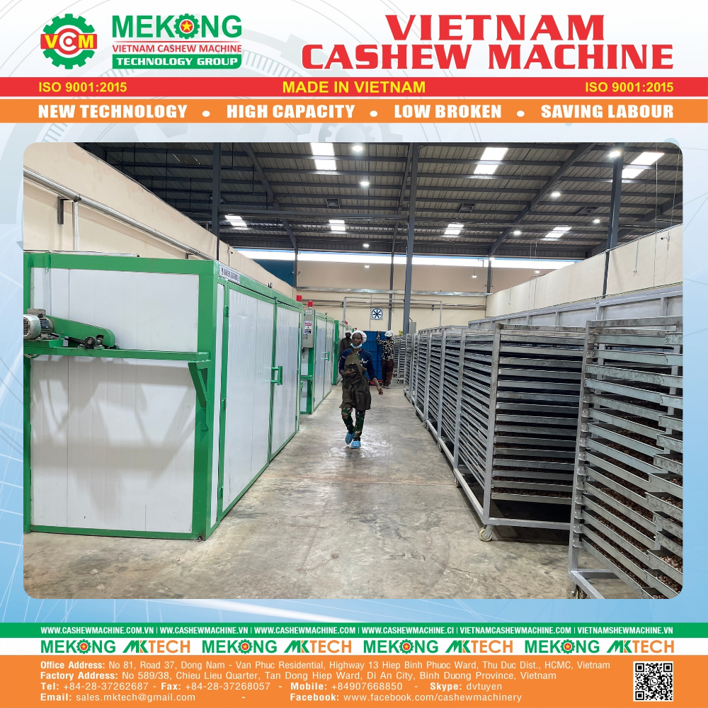 High-Capacity Cashew Drying Machine for Kernel Processing